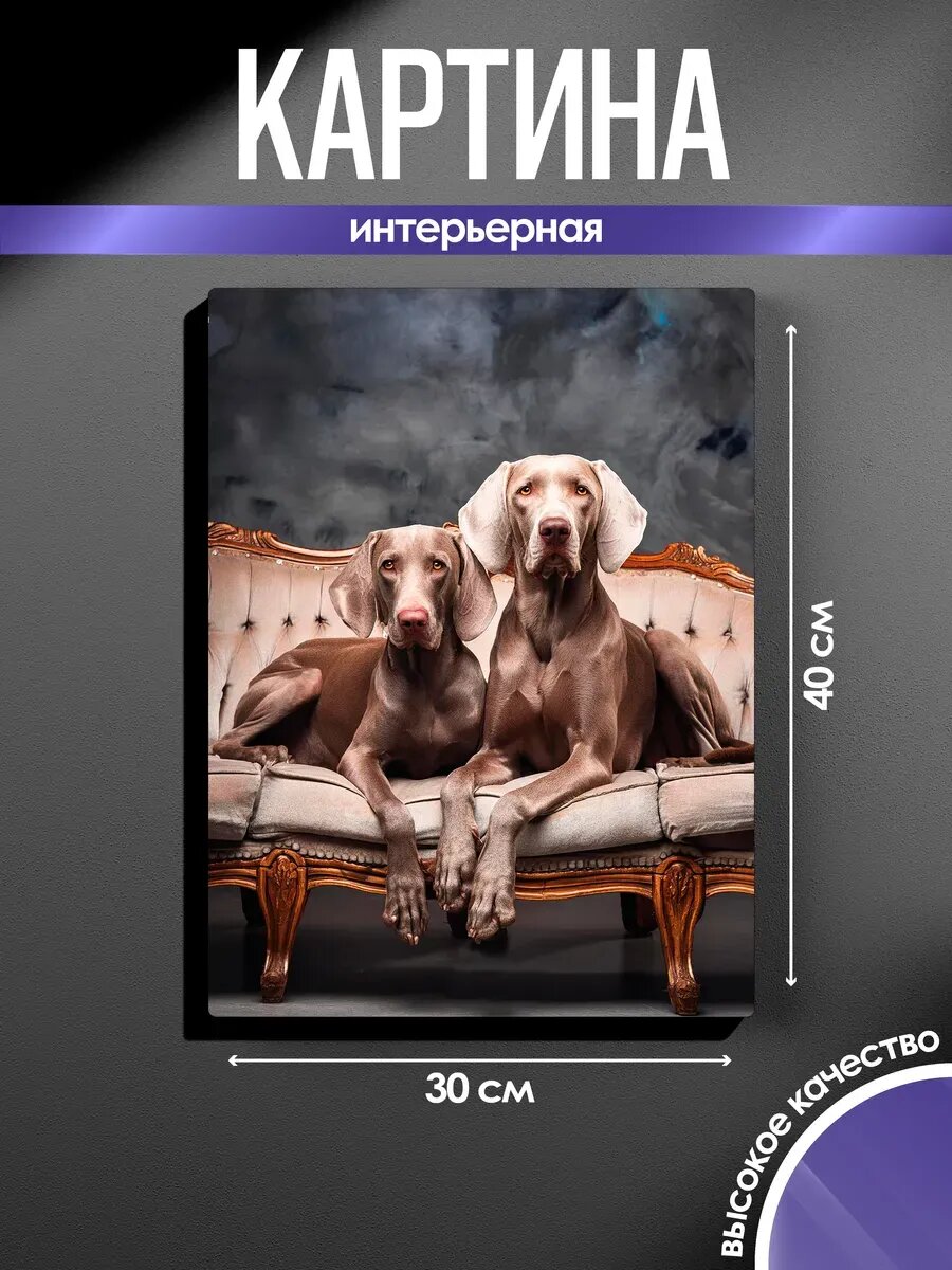 Картина на стену Собачья семья