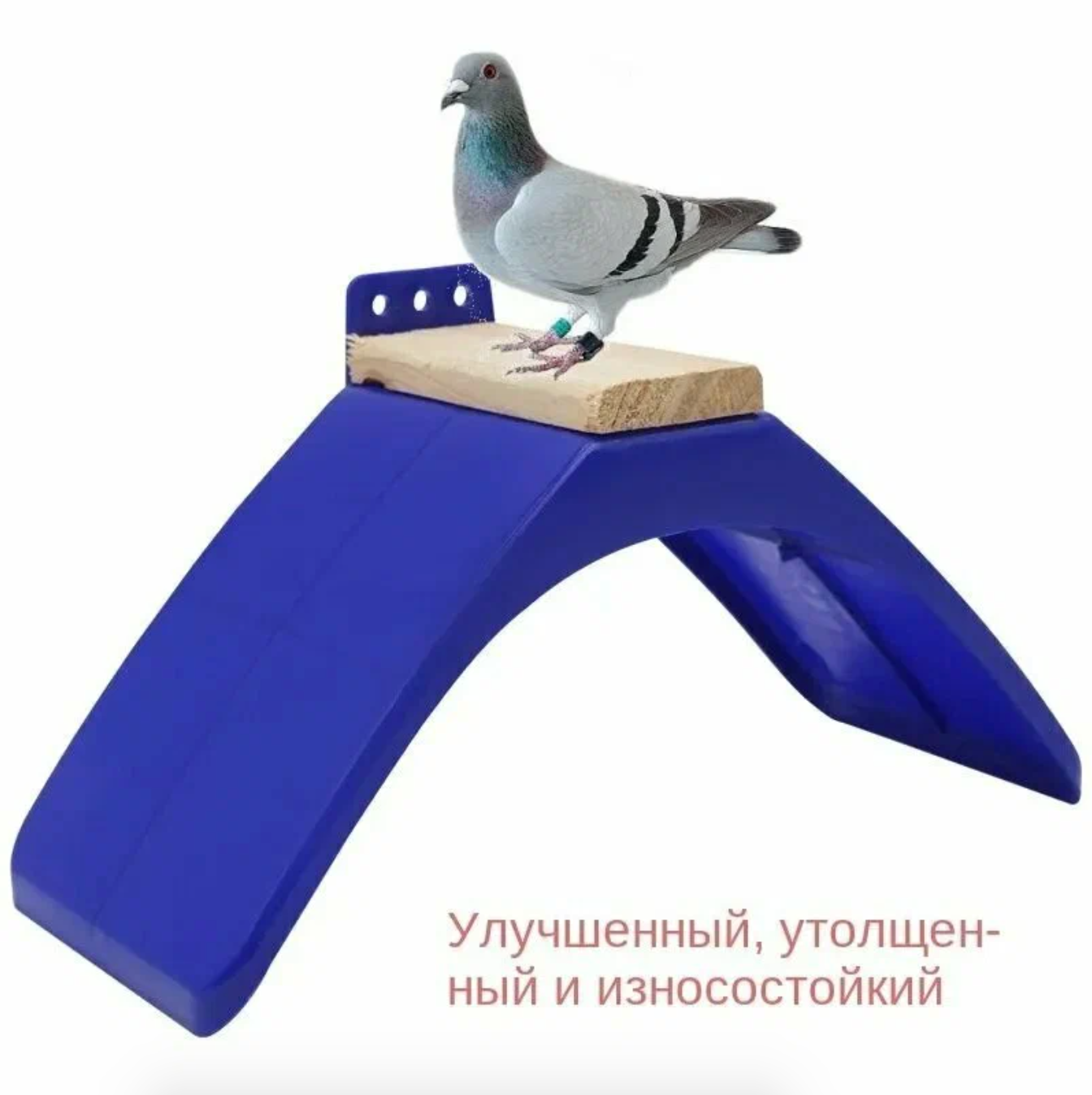 Насест для голубей