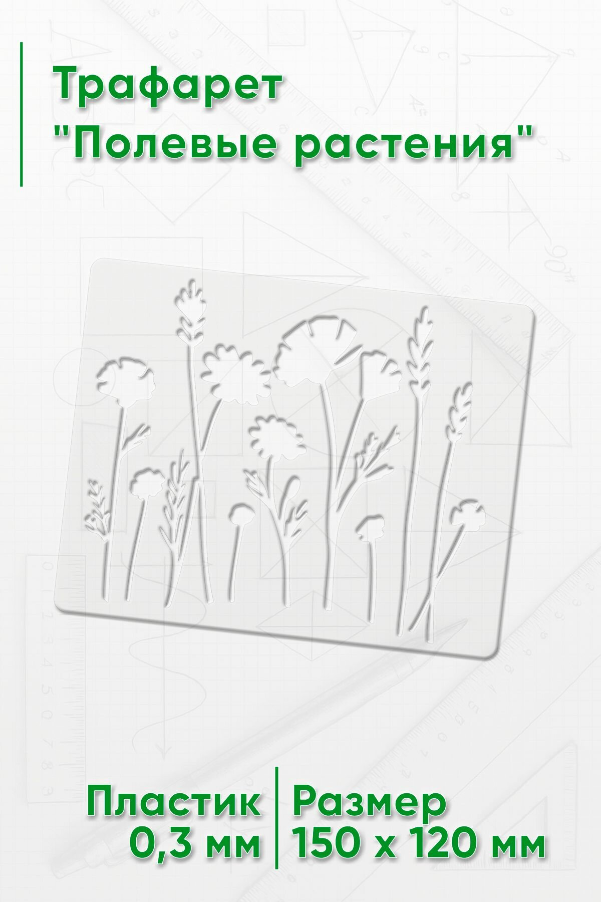 Трафарет "Полевые растения". Линейка.
