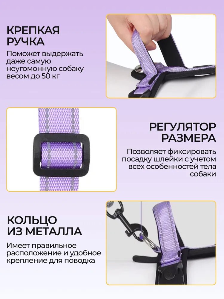 Анатомическая шлейка StaffyBella Q44S, для собак мелких и средних пород, светоотражающие элементы, фиолетовая — фото 1