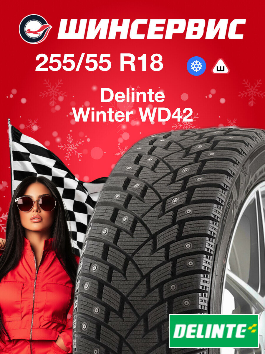 Зимняя шипованная шина Delinte Winter WD42 255/55 R18 109 T, зимняя автомобильная резина