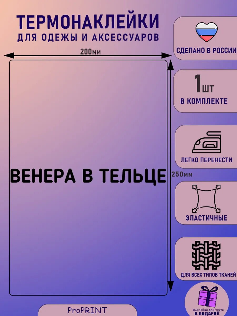 Термонаклейка на одежду надпись