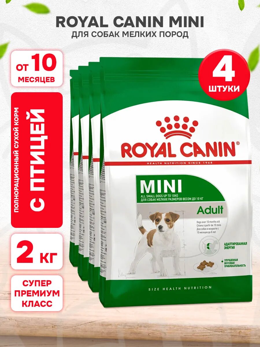 Корм сухой Royal Canin Mini Adult для взрослых собак мелких пород от 10 месяцев, 2 кг х 4 шт