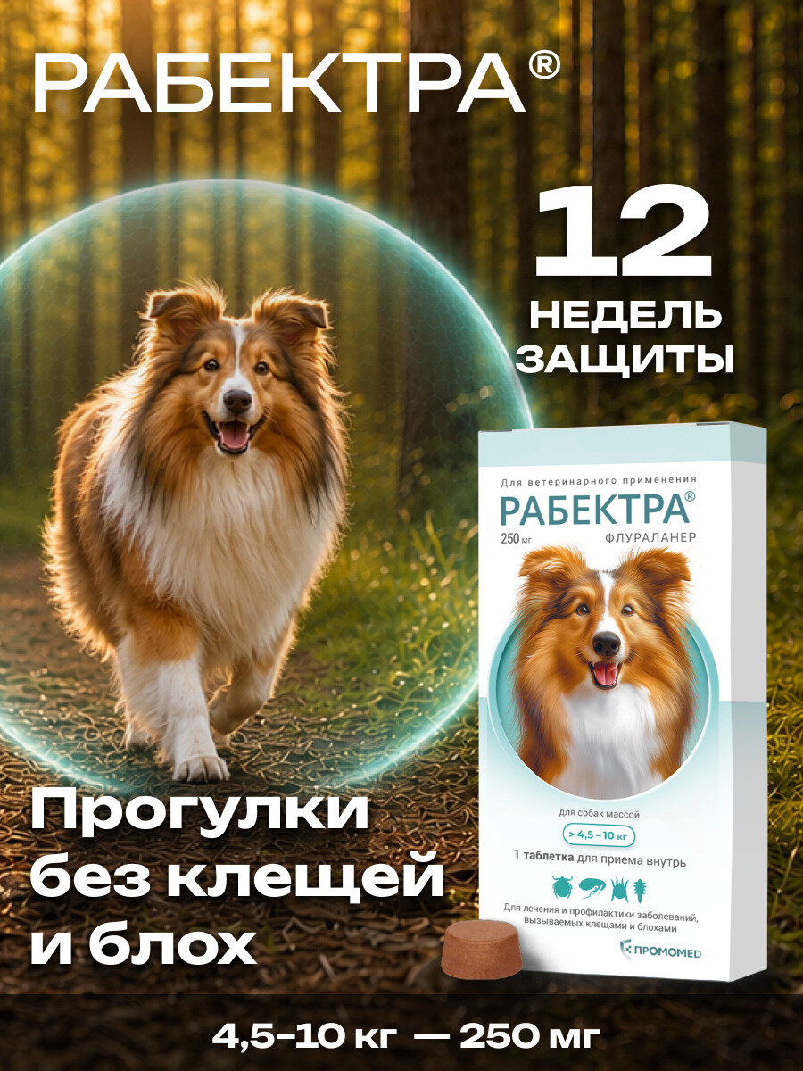 Рабектра таблетка для собак 4,5-10 кг. 250 мг.