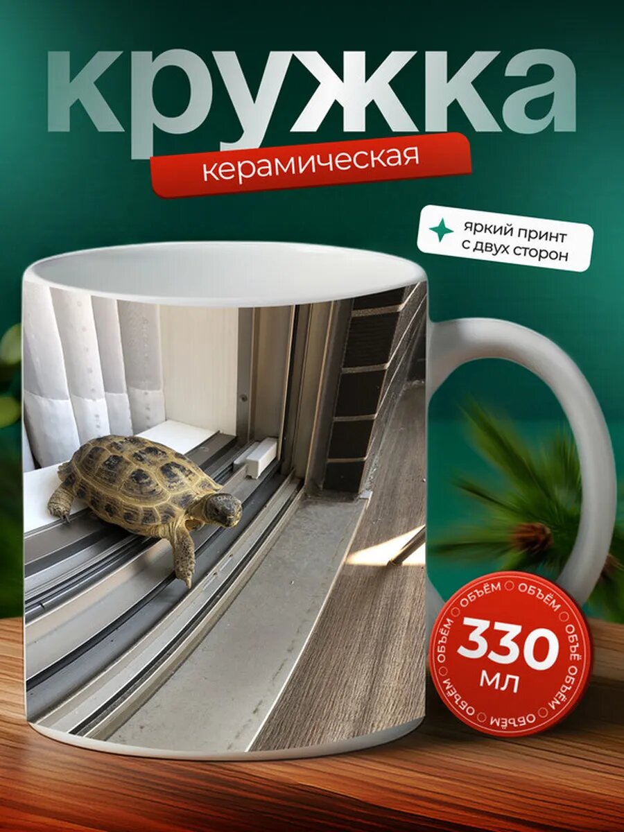 Кружка Черепаха домашняя 8,
