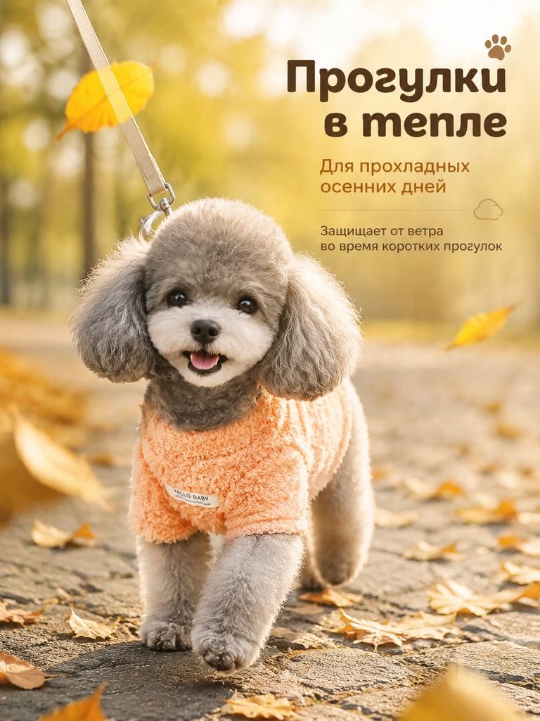 Одежда для домашних животных