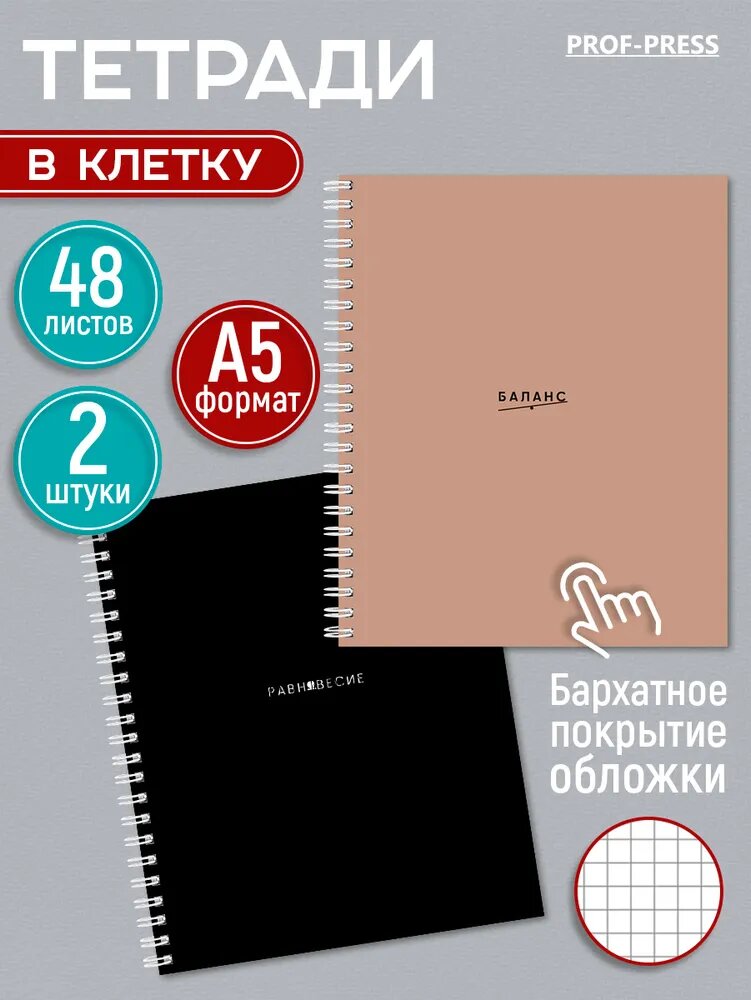 Тетрадь в клетку 48 листов Prof-Press, набор 2 штуки
