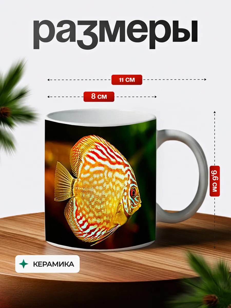 Кружка Дискус рыбка 14, — фото 1