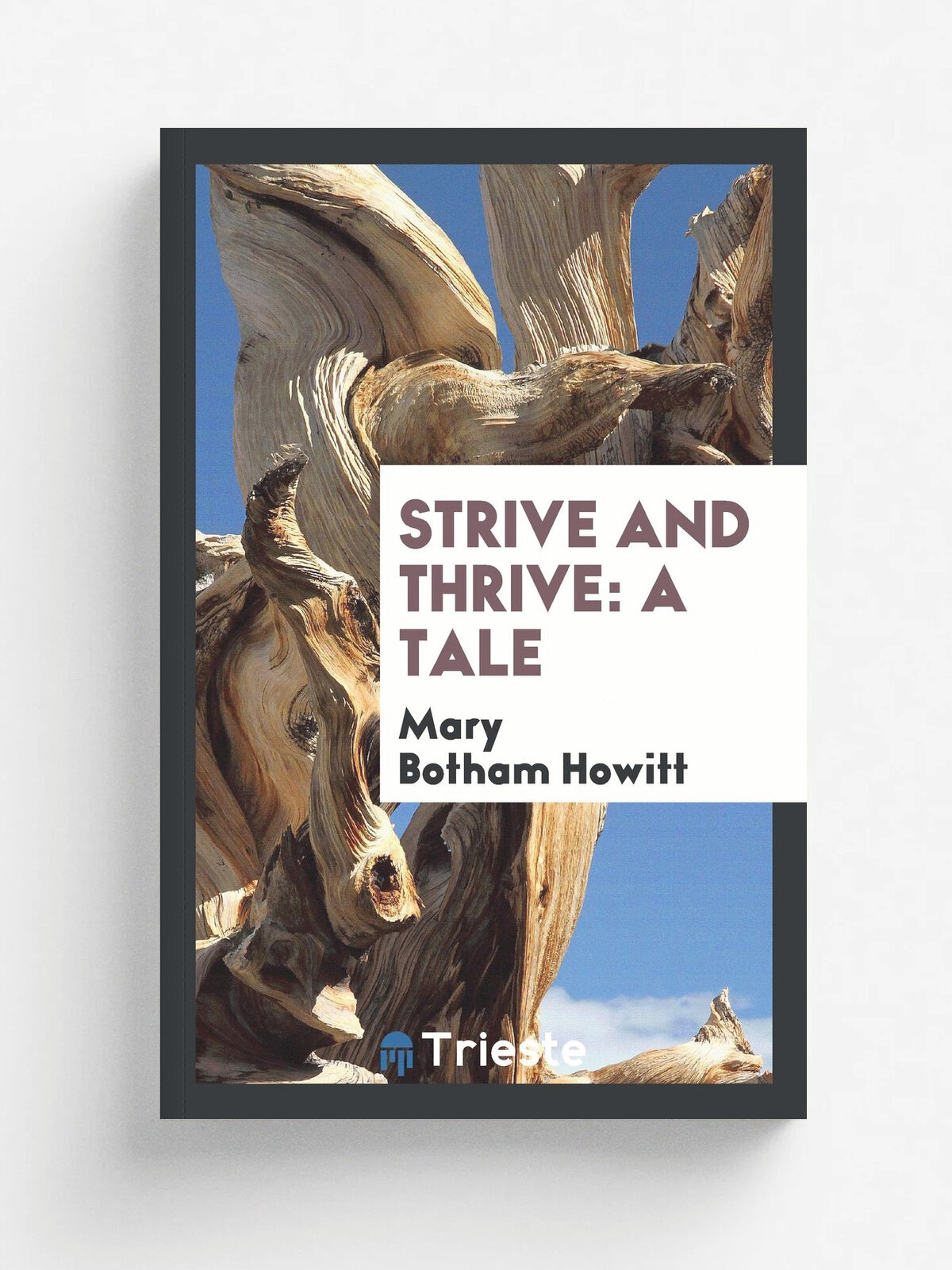Strive and Thrive. A Tale