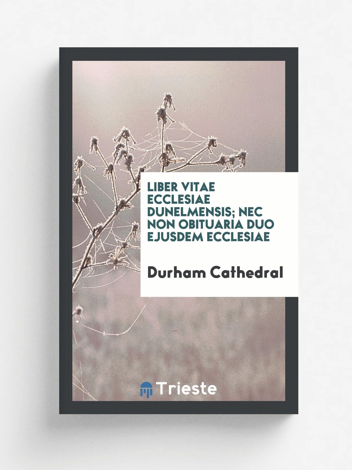 Liber Vitae Ecclesiae Dunelmensis. Nec Non Obituaria Duo Ejusdem Ecclesiae
