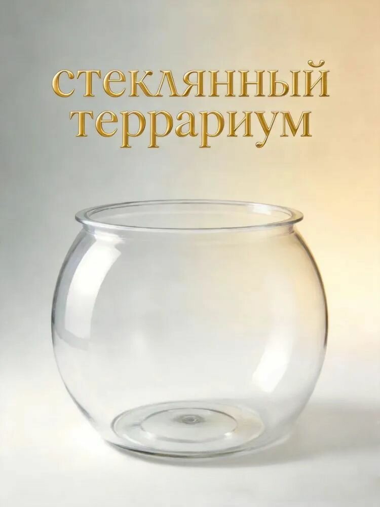 Прозрачная Ваза Для Рыбок Размер 20.00X20.00X17.00Cm аквариум декоративный маленький