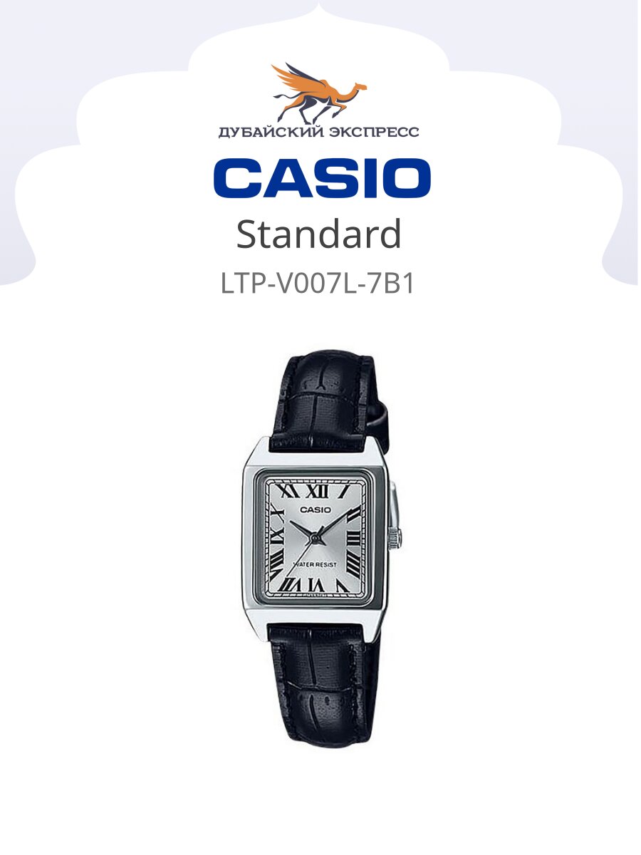  CASIO
