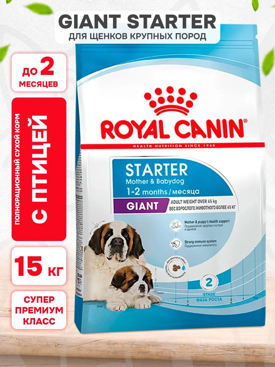 Корм сухой Royal Canin Giant Starter для щенков крупных пород до 2 месяцев, беременных и кормящих собак, 15 кг