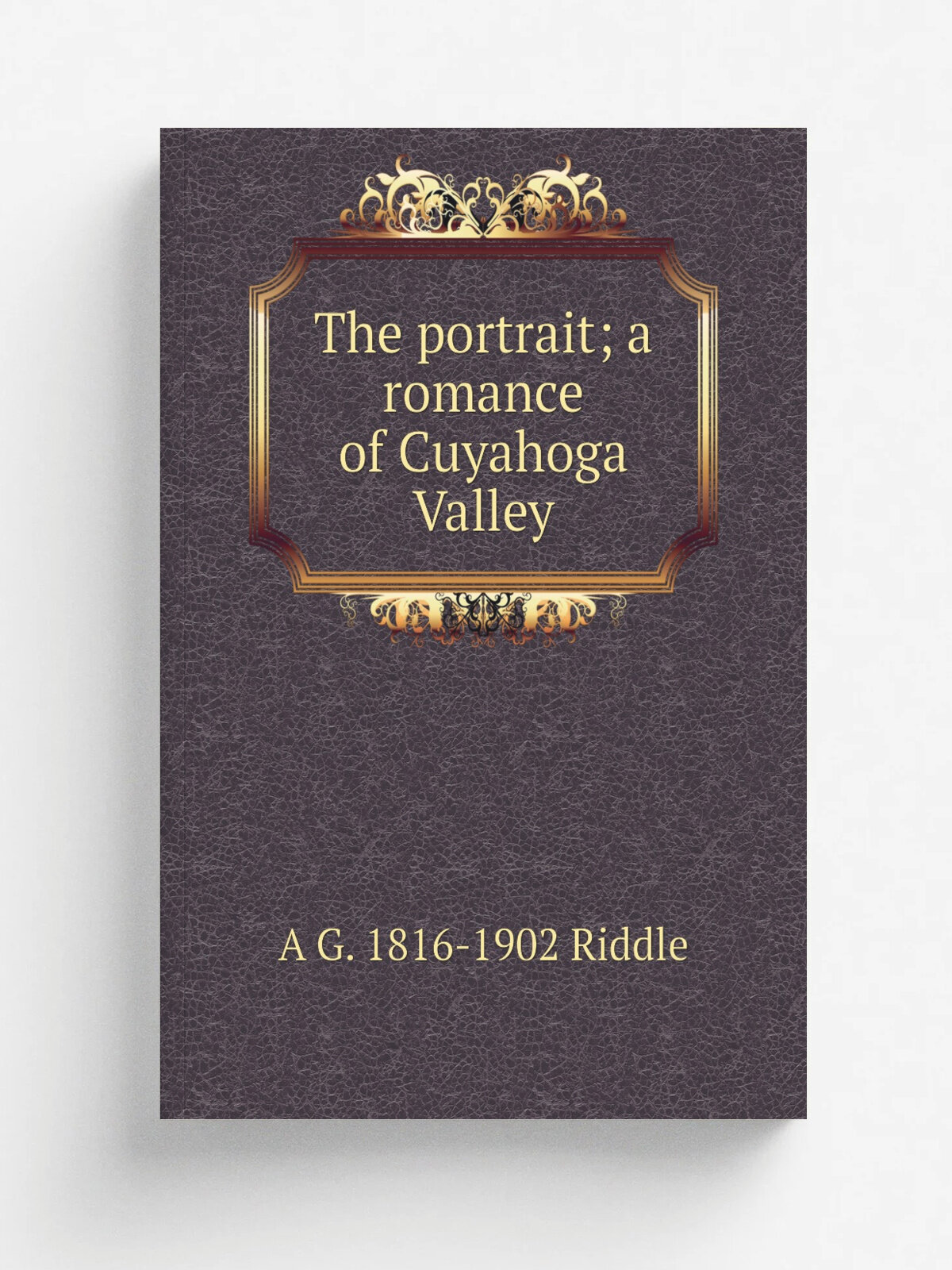 The portrait; a romance of Cuyahoga Valley