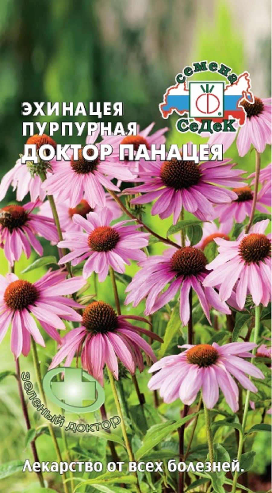 Эхинацея Доктор Панацея пурпурная 0,1г /Седек
