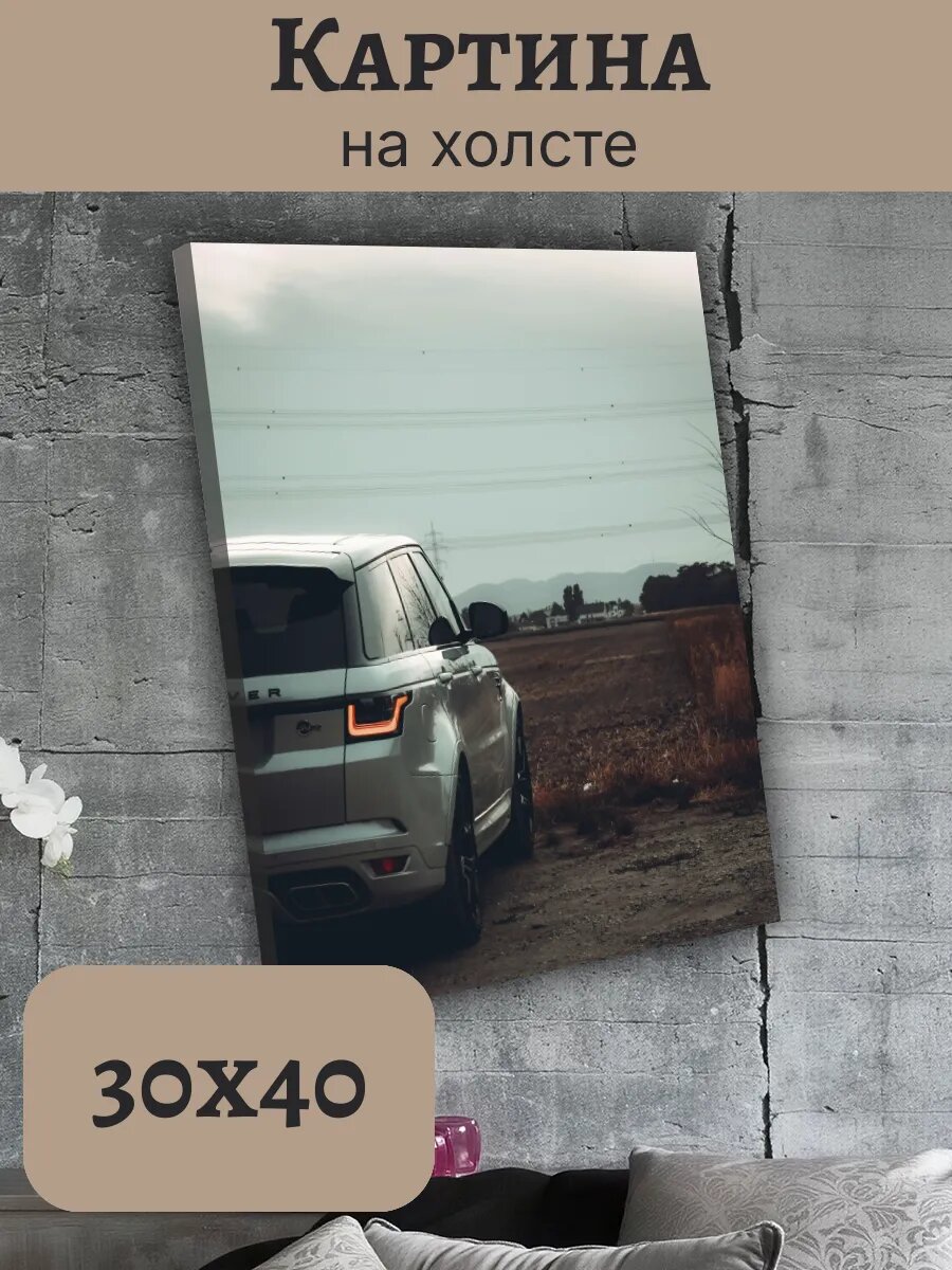 Картина Рендж Ровер Range Rover 30x40 серебристый