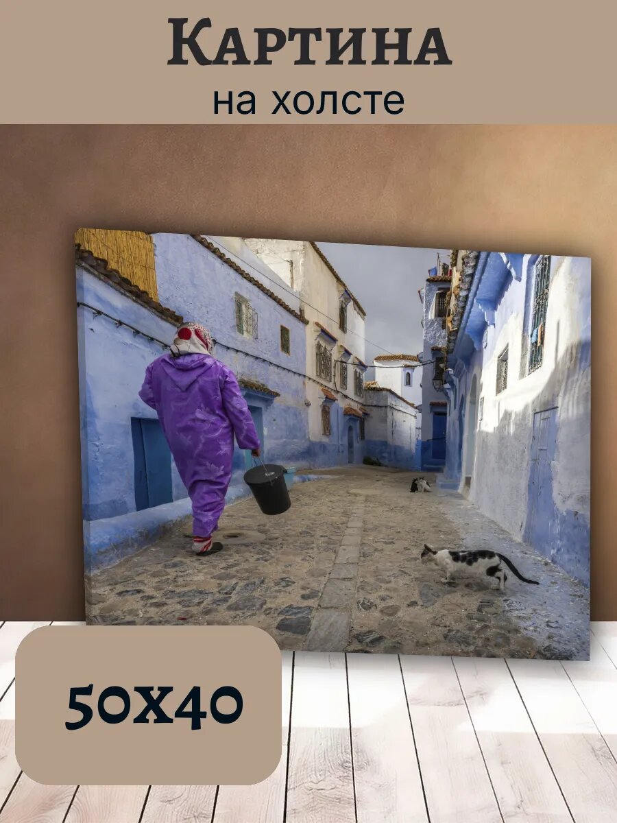 Картина Постер Кот Кошка Cat 40x50 улочки Шефшауэна