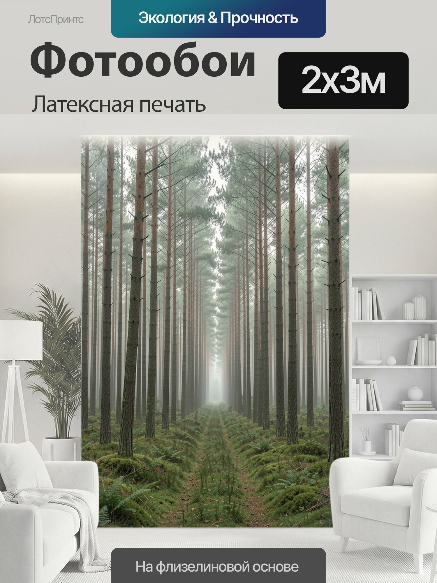 Фотообои моющиеся ударопрочные "Туманный сосновый лес с тропой. Фотореалистичный природный пейзаж с высокими стволами хвойных деревьев, зелёным." 200x300 см. латексная печать
