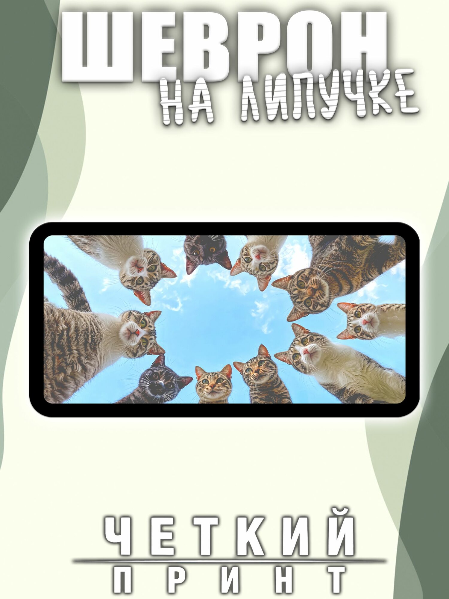 Шеврон сублимационный Коты вокруг