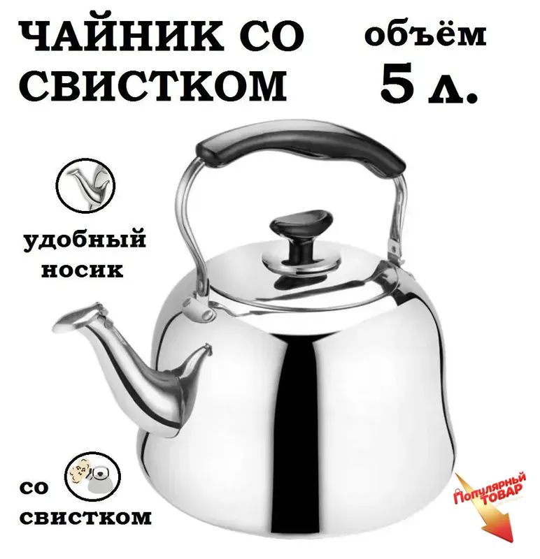 Чайник 5 л крышка в комплекте, можно мыть в посудомойке нержавеющая сталь серебристый