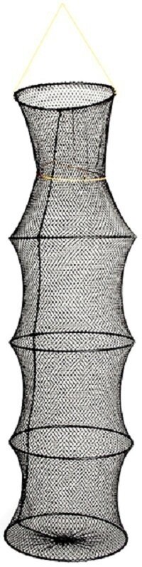 Олта Садок, 135 см