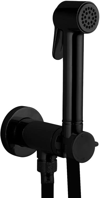 Встраиваемый гигиенический душ Bossini Paloma Brass E37007B.073 встраиваемый, скрытого монтажа, черный, матовый, латунь, вентильный, смеситель для биде