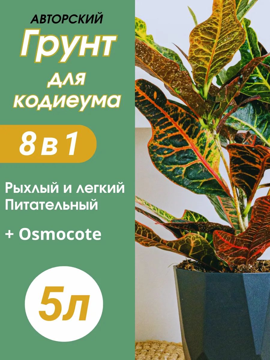 Грунт для Кодиеума 5л готовый