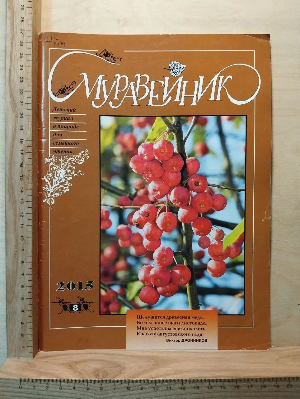 Журнал "Муравейник" №8 2015 г.