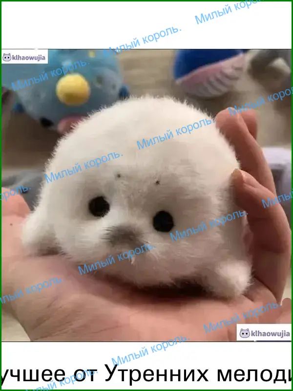 Мягкая плюшевая игрушка белый тюлень водные животные текстиль для детей и взрослых