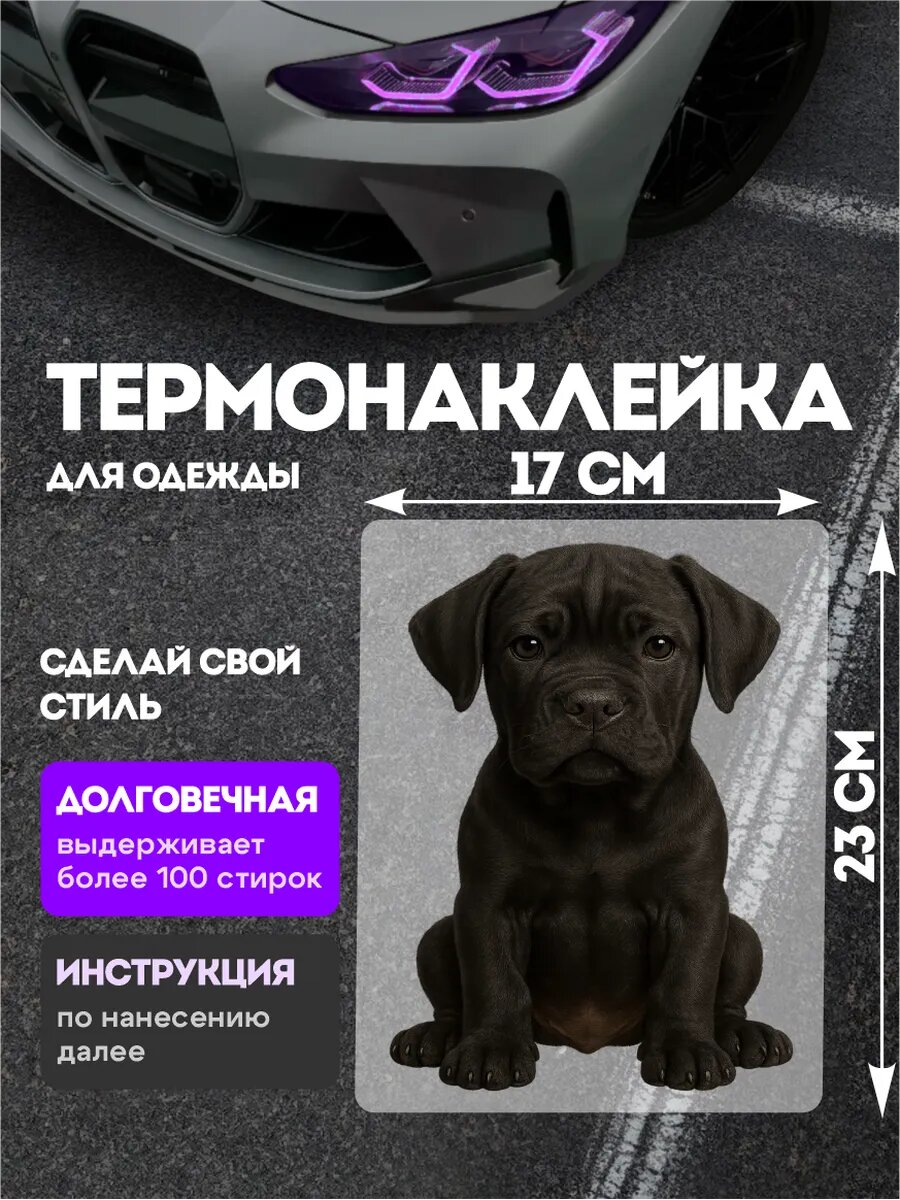 Термонаклейка на одежду Кане-корсо щенки