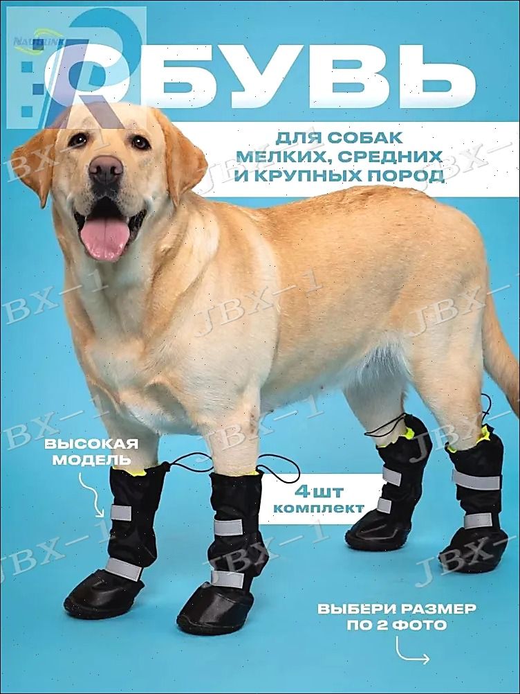 Обувь для собак крупных пород зимняя, водонепроницаемая, нескользящая, с двойными светоотражающими ремнями (утепленные, высокие)
