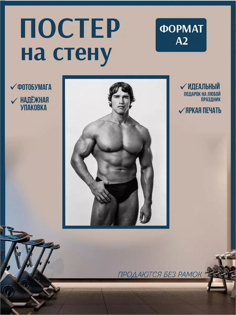 Арнольд Шварценеггер постеры Arnold Schwarzenegger А2