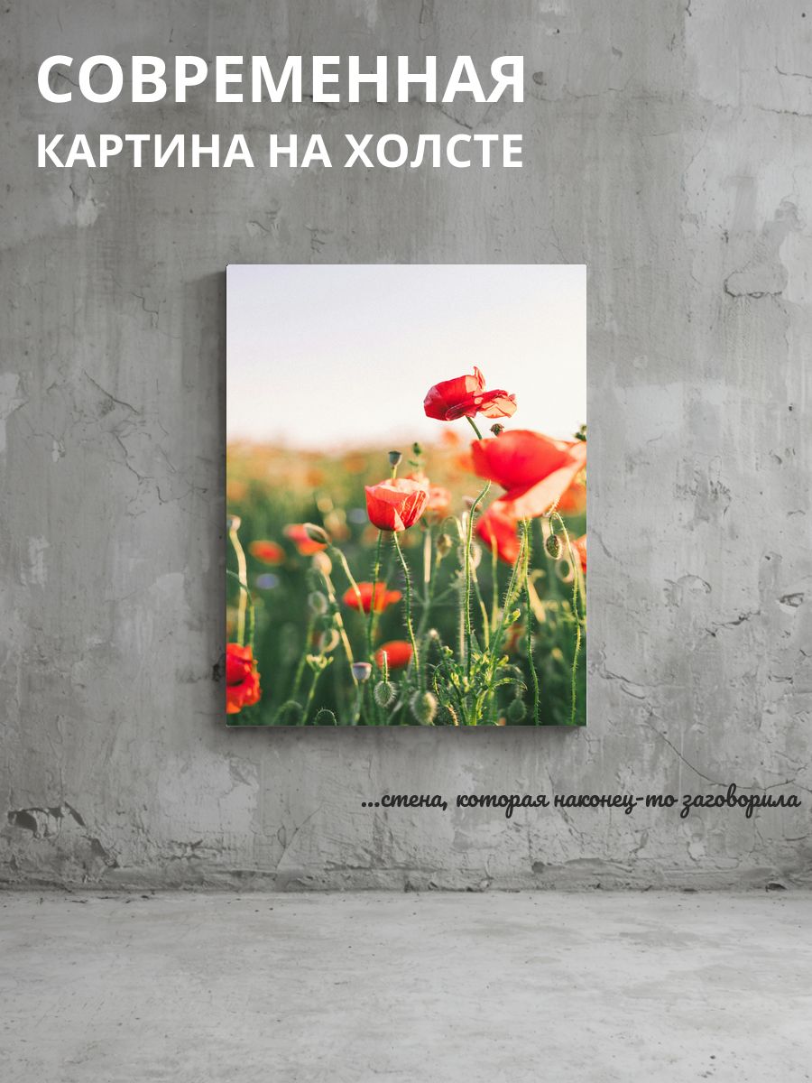 Картина на холсте Маки в зелени 20x30 см