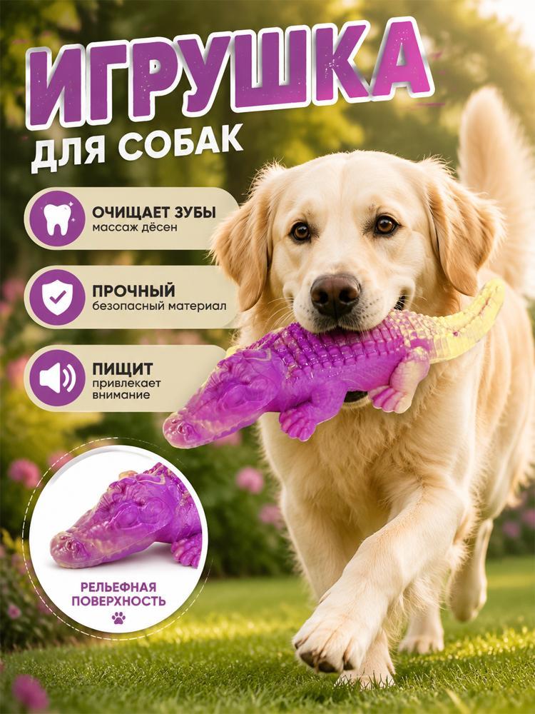 Игрушки для собак, говорящие щенки, зубные палочки, игрушки для домашних животных