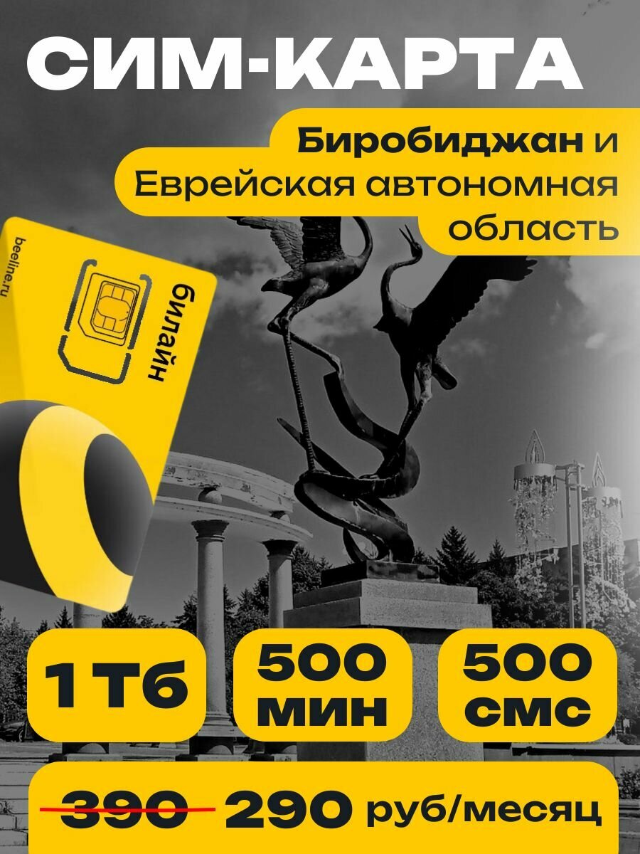 Сим-карта Билайн тариф Эксклюзивный Еврейская автономная область 1024 Гб + 500 минут за 290 руб.