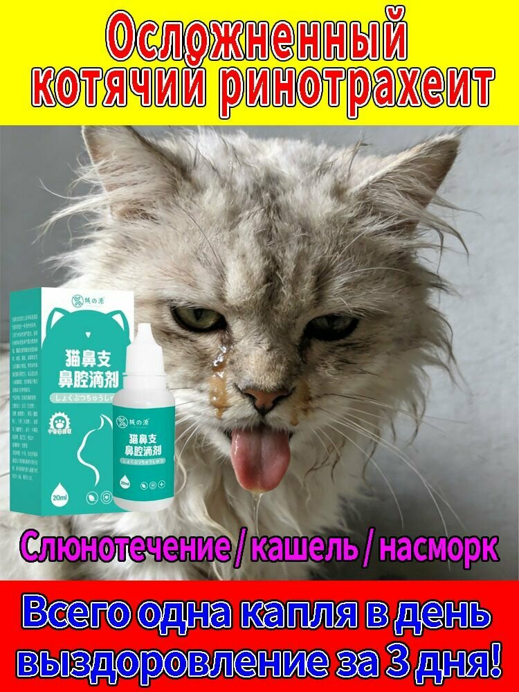Антибиотик для кошек широкого спектра жидкий