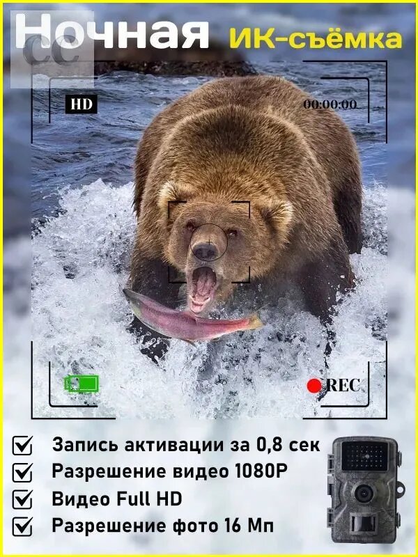 Фотоловушка — фото 1