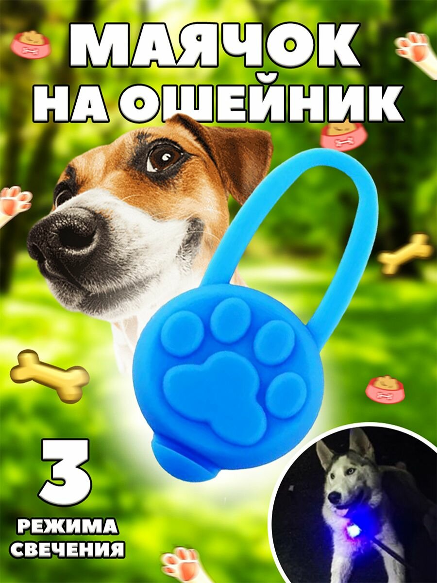 Светящийся брелок на ошейник для собак
