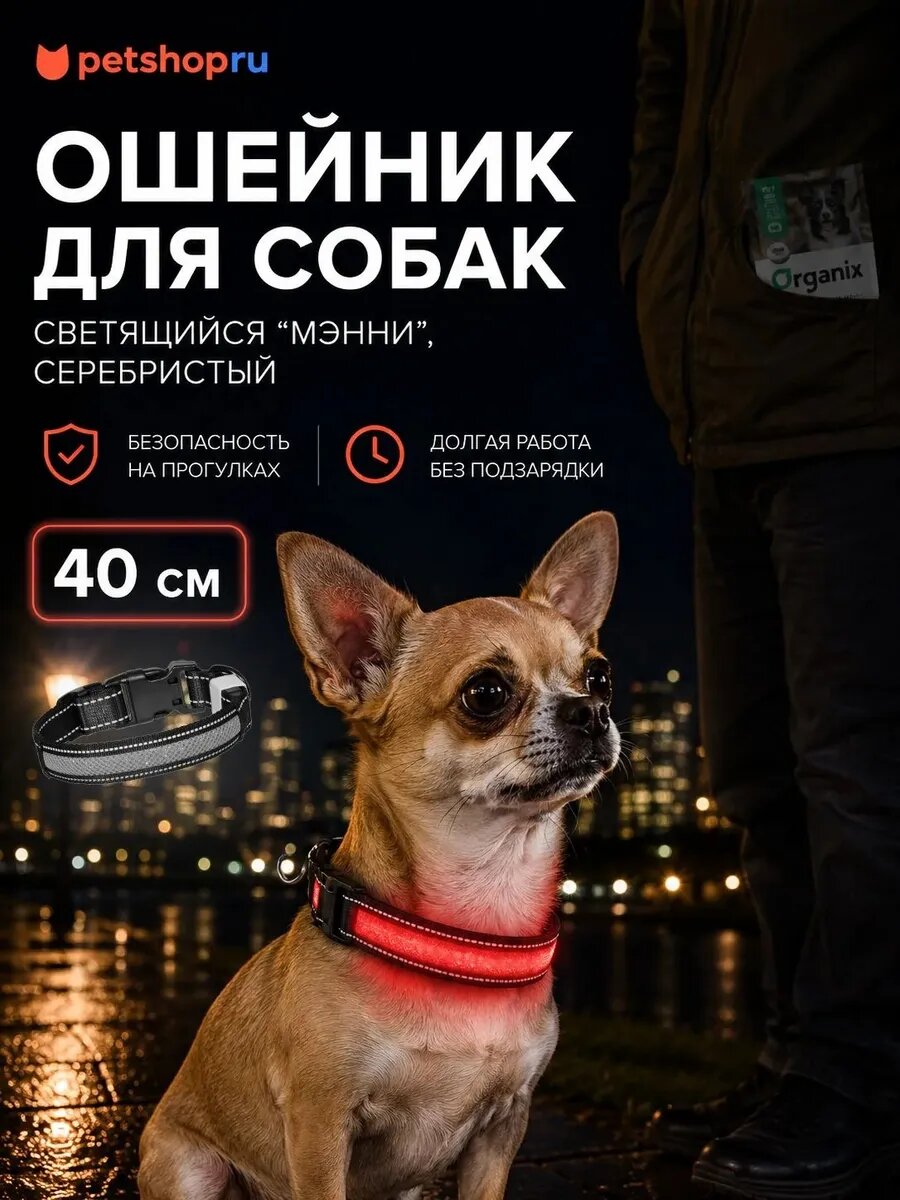 Tappi Светящийся ошейник "Мэнни", S