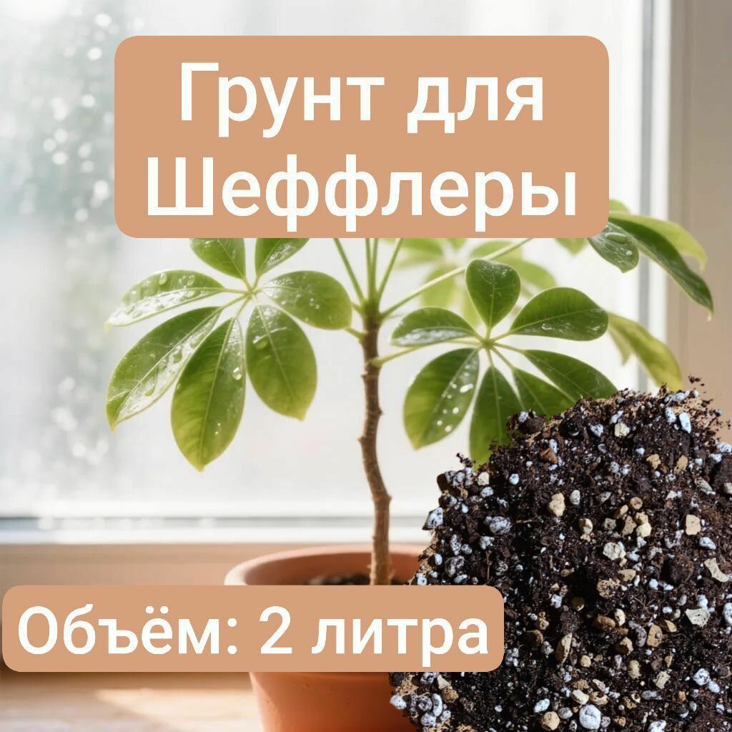 Авторский грунт для Шефлера 2 литра универсальный грунт 2 литра