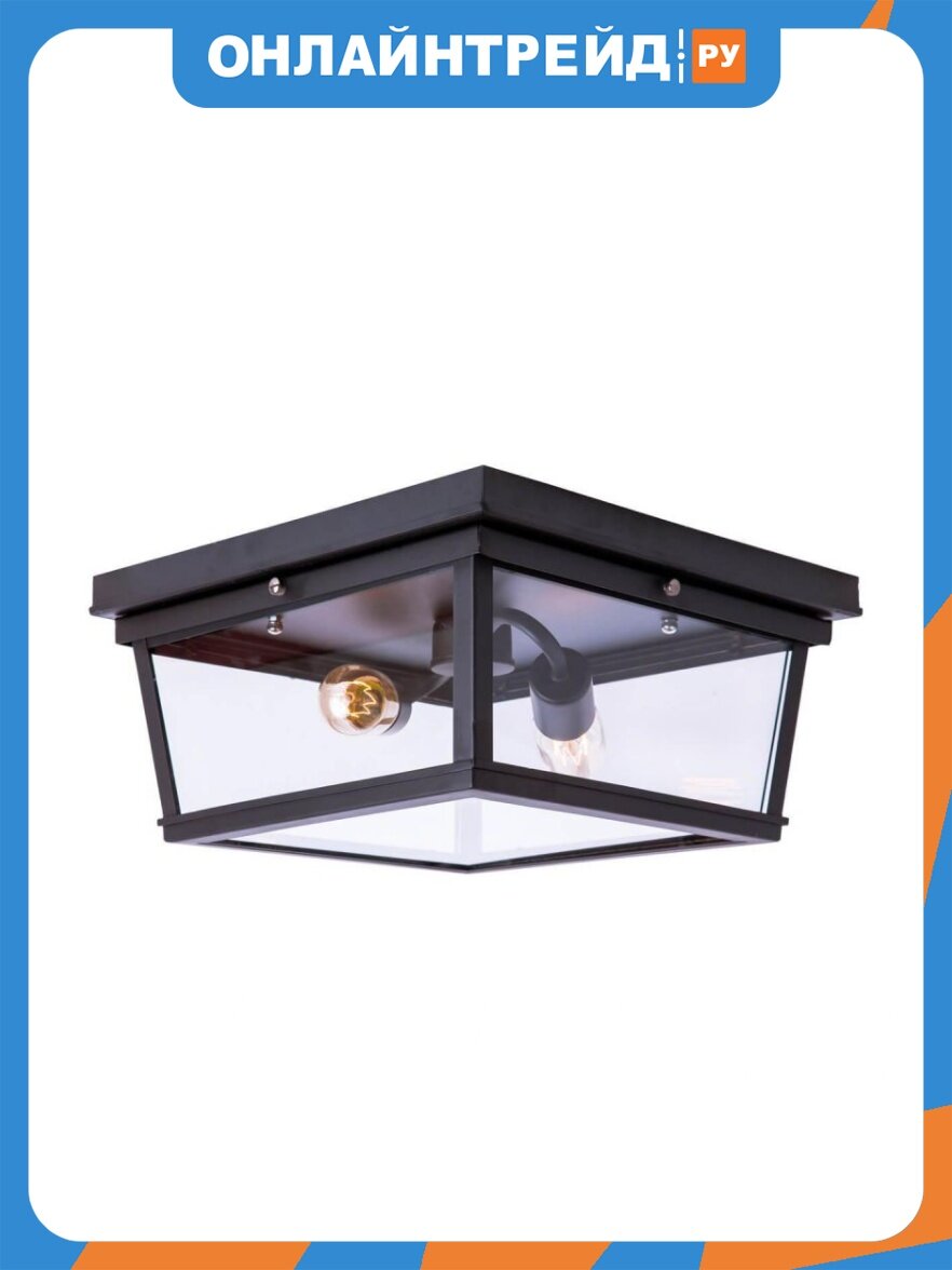 Потолочный светильник Loft IT Loft3110-2C