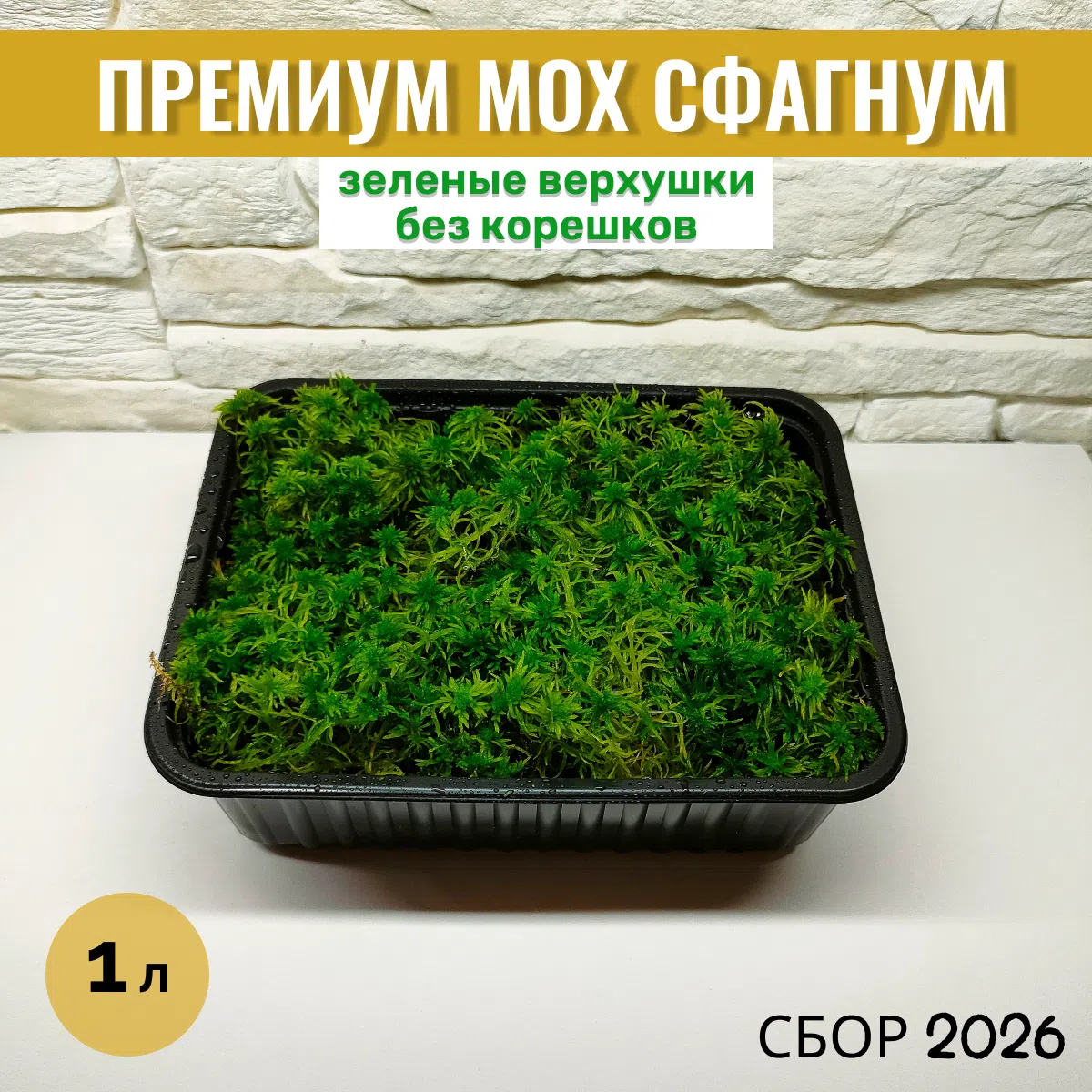 Мох сфагнум свежий лесной для улиток и орхидей 1 л