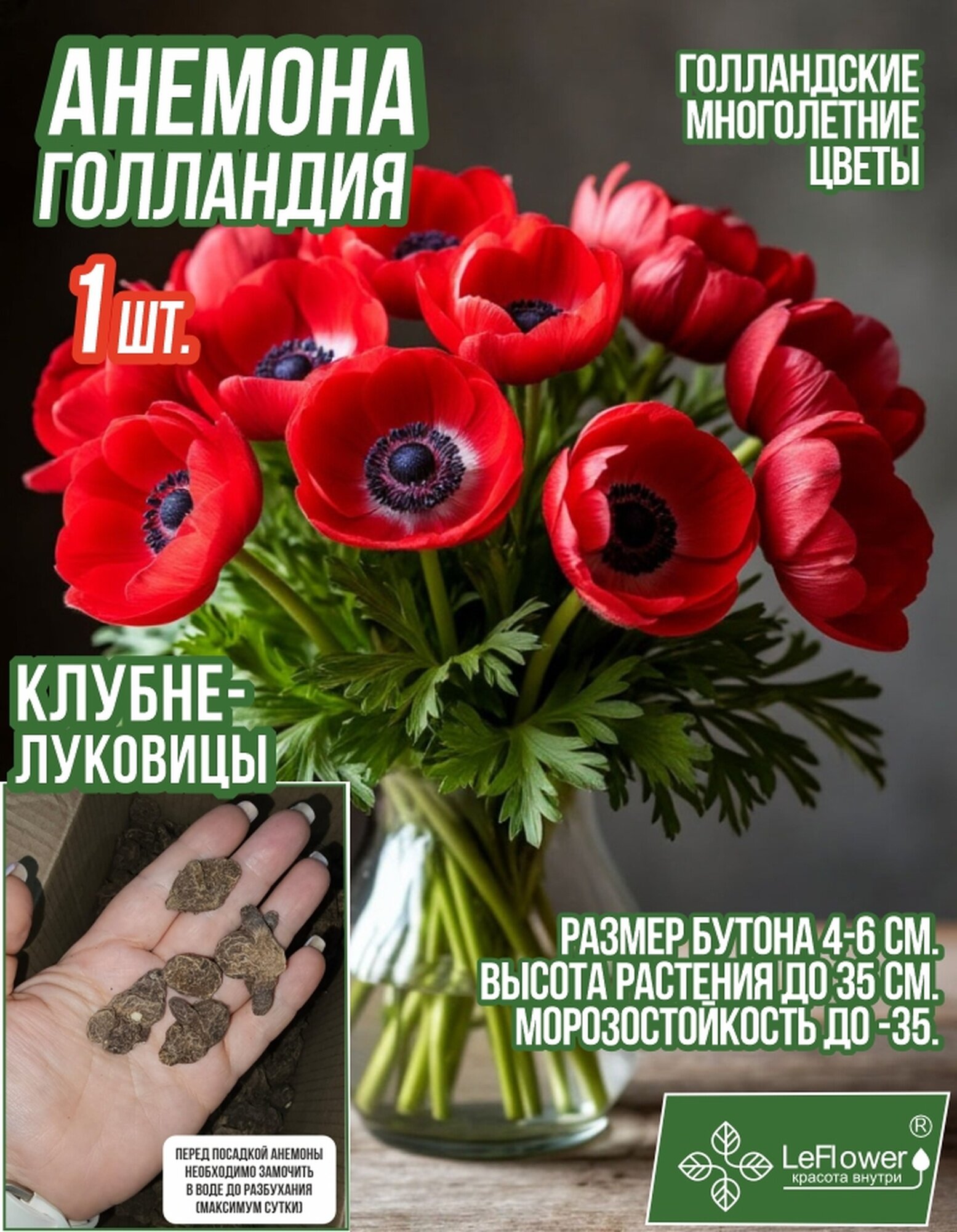 Анемона LeFlower, многолетняя, розовая, белая, упаковка 1 шт, 1 упаковка