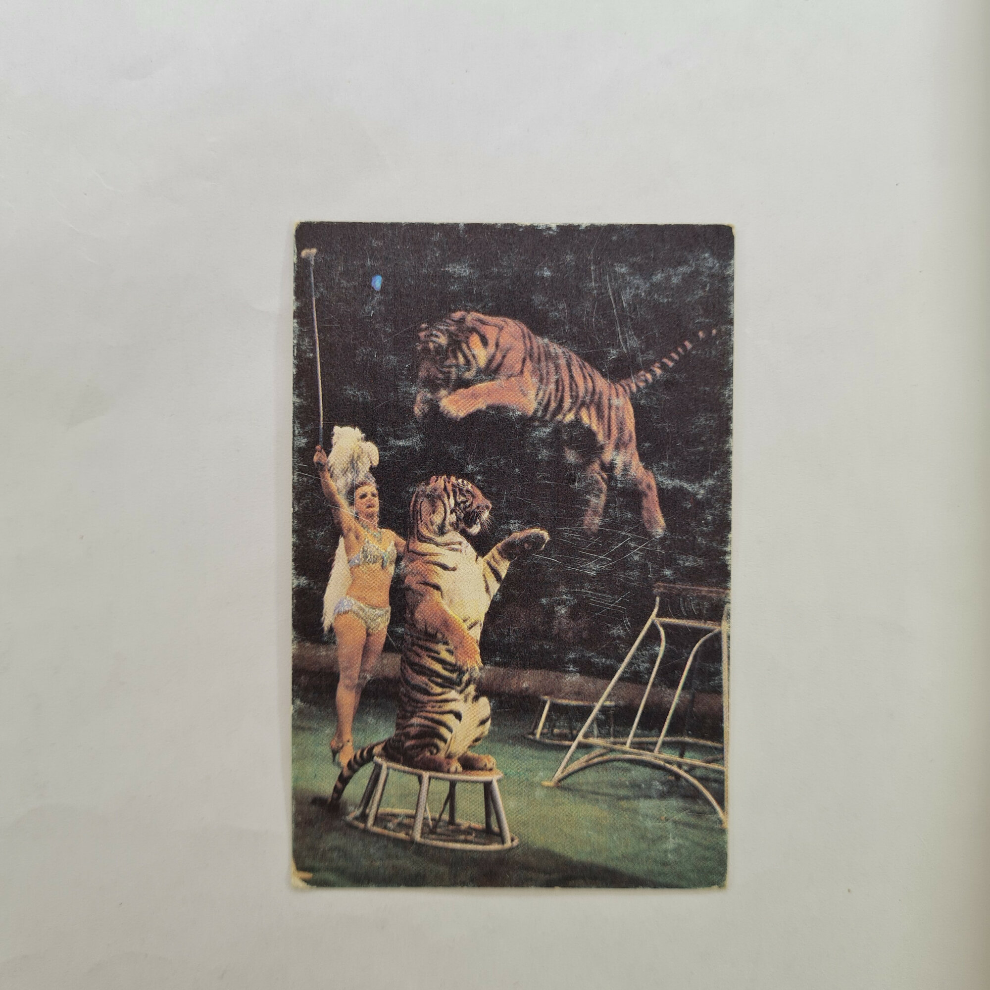 Карманный календарик СССР 1989. Дрессировщица и тигры, цирк. Советский календарь серия Советский цир