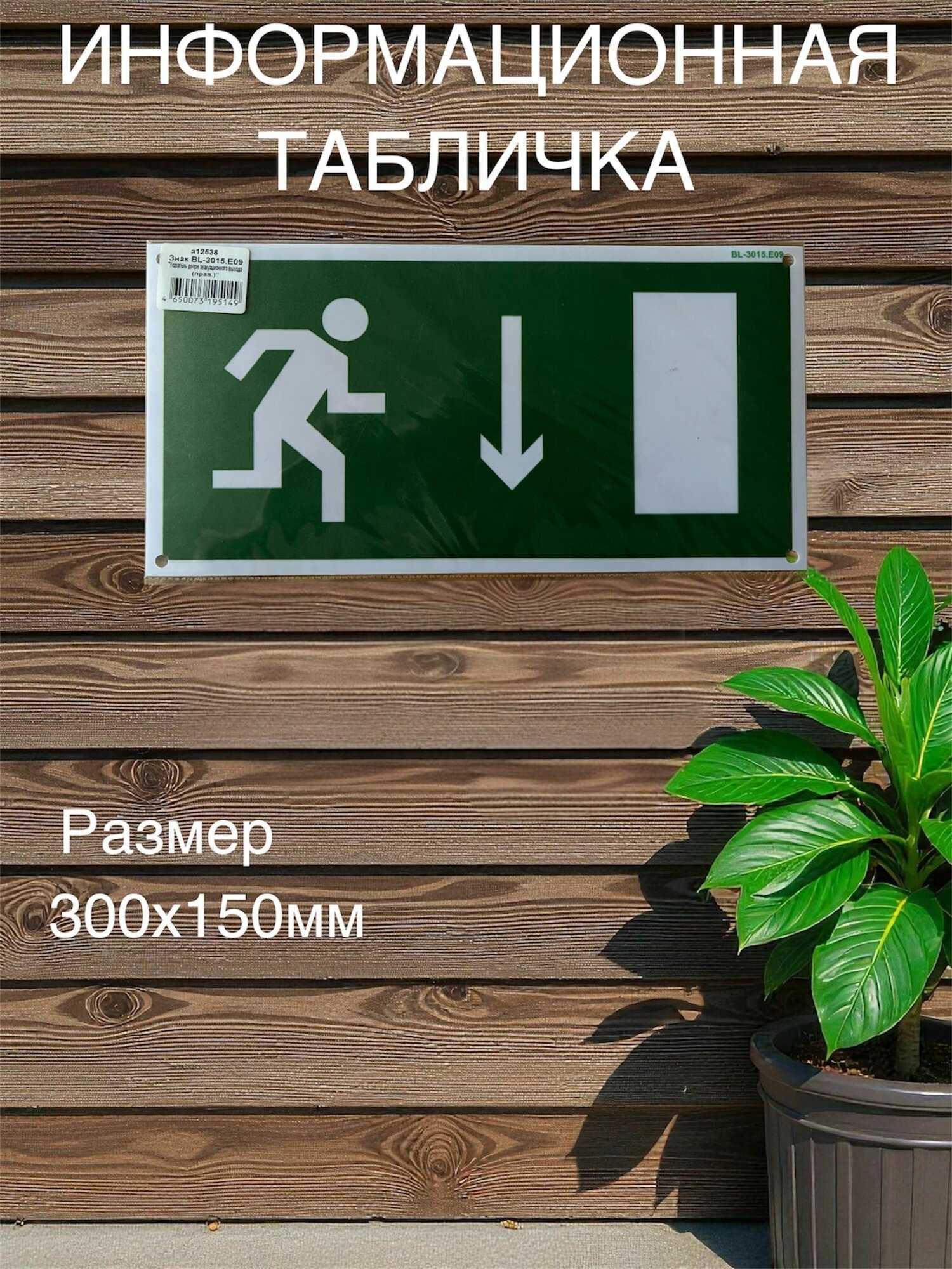Знак безопасности BL-3015B. E09 Белый свет a12538