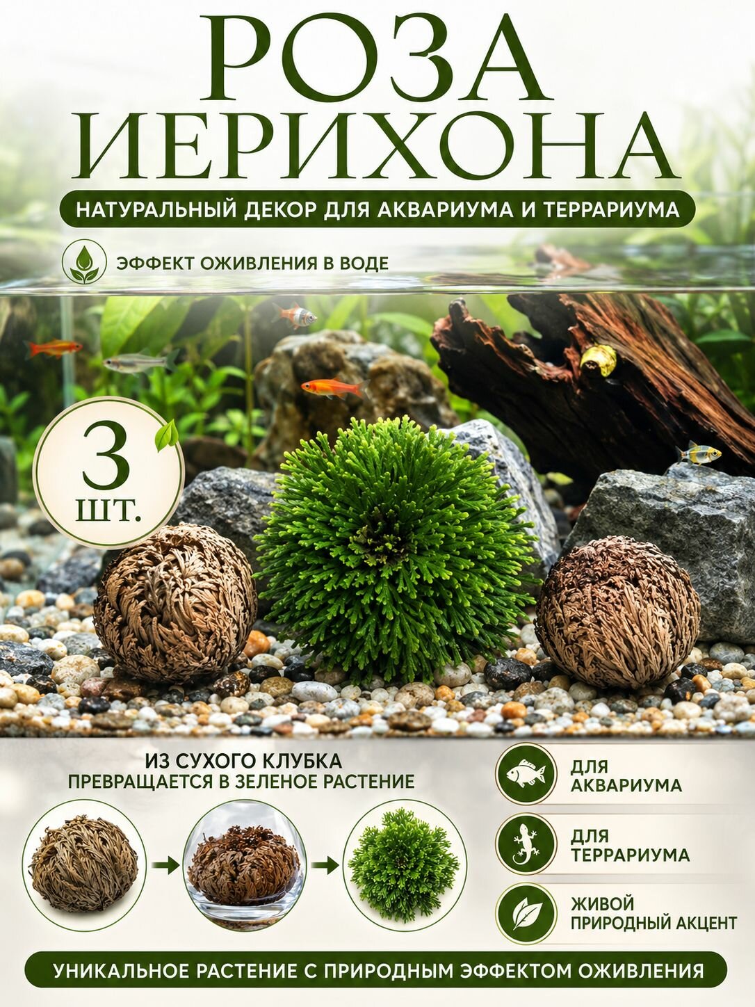 Украшение террариума