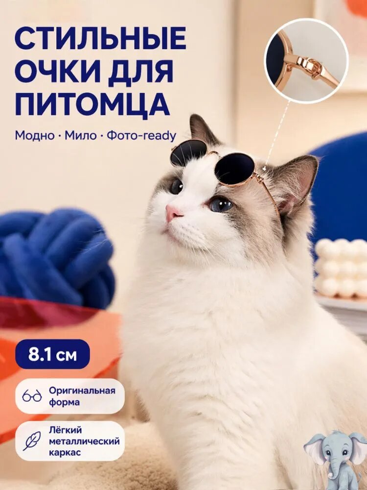 Солнцезащитные очки для кошек и собак