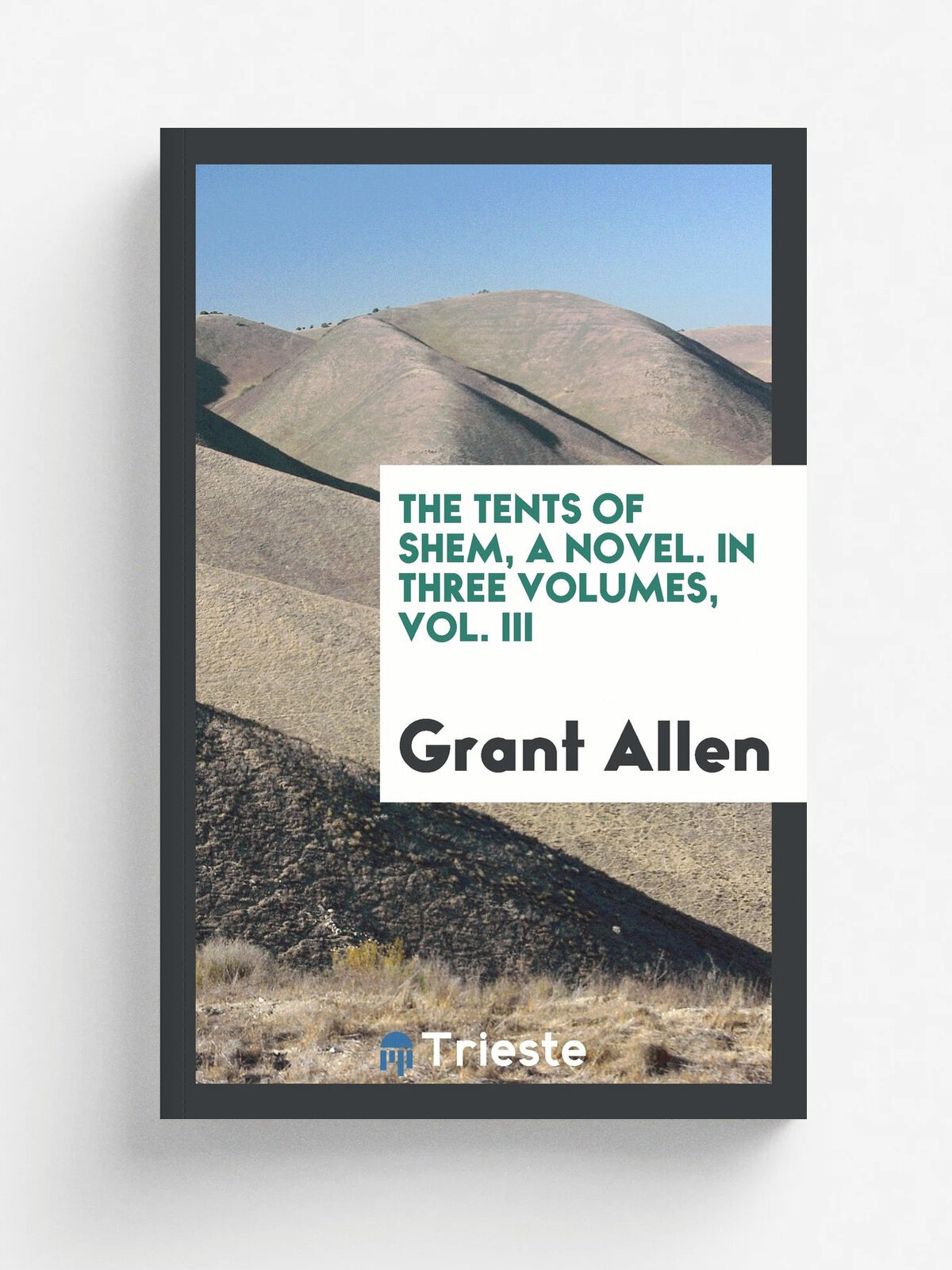 The tents of Shem, a novel. In three volumes, vol. III
