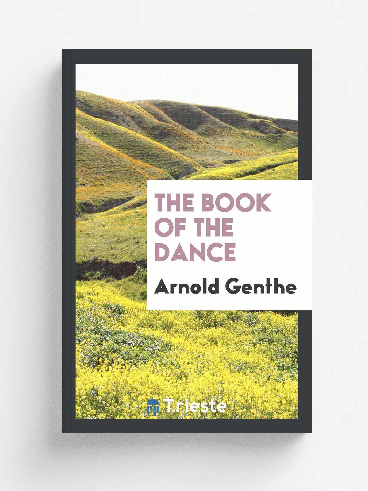 The book of the dance
