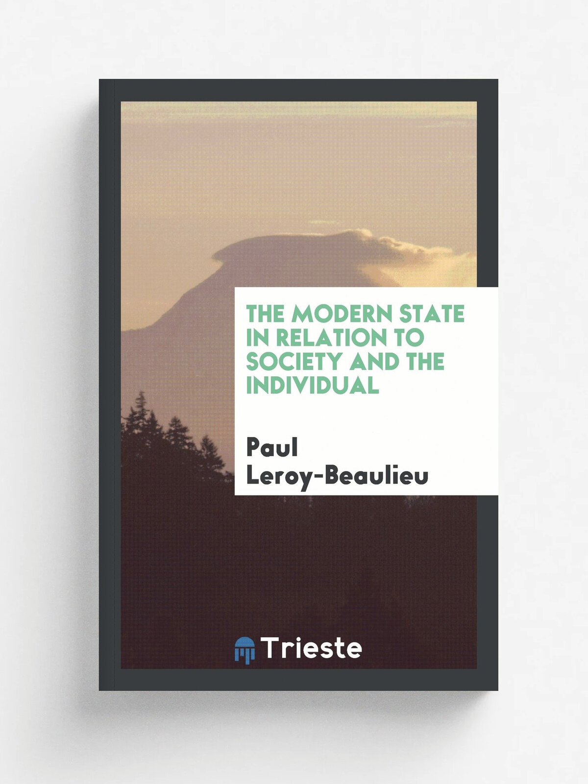 The modern state in relation to society and the individual